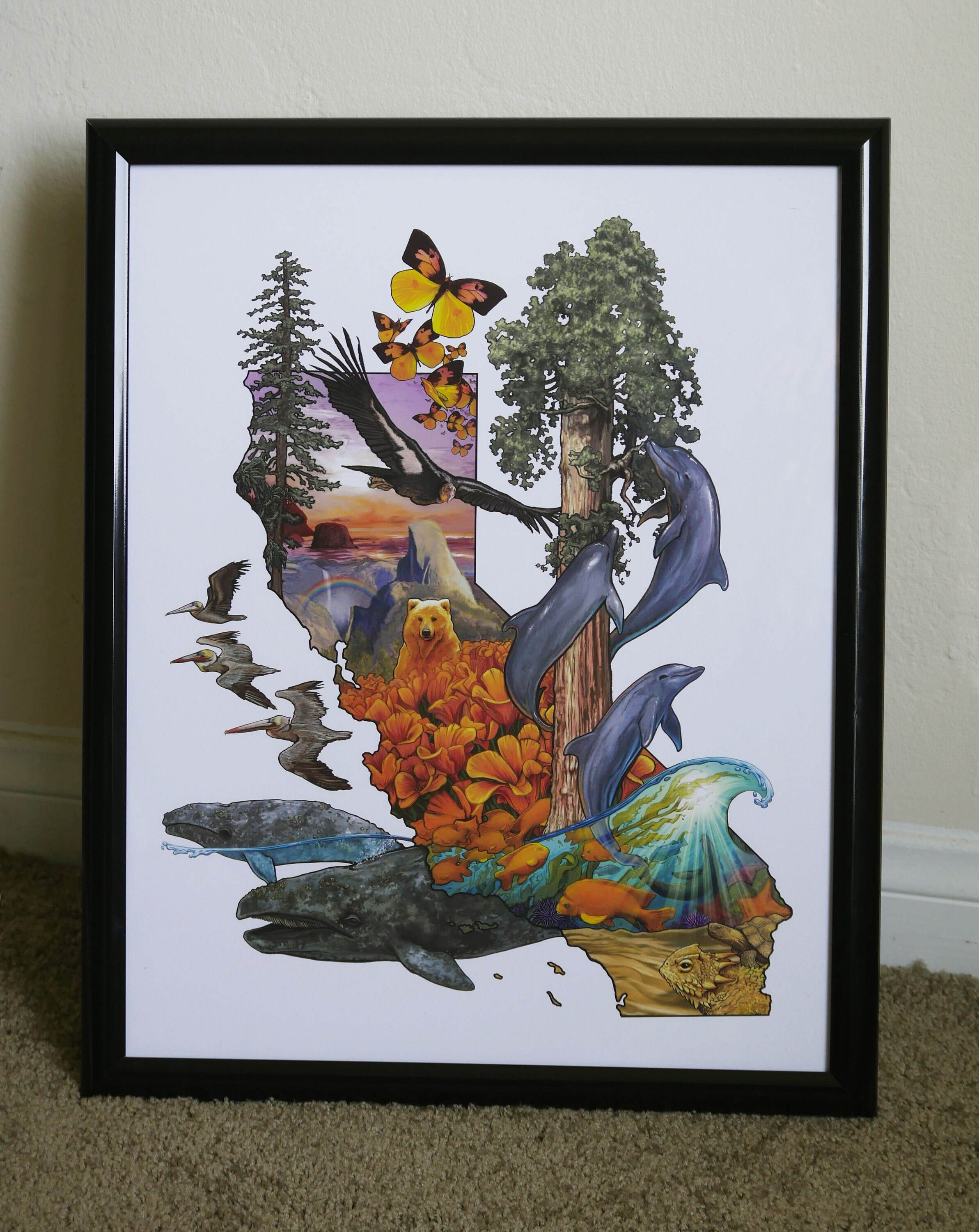 California Nature Illustration Map - Etsy