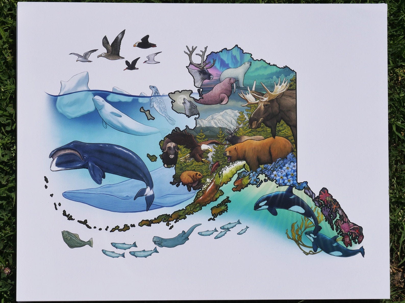 Alaska Nature Illustration Map - Etsy