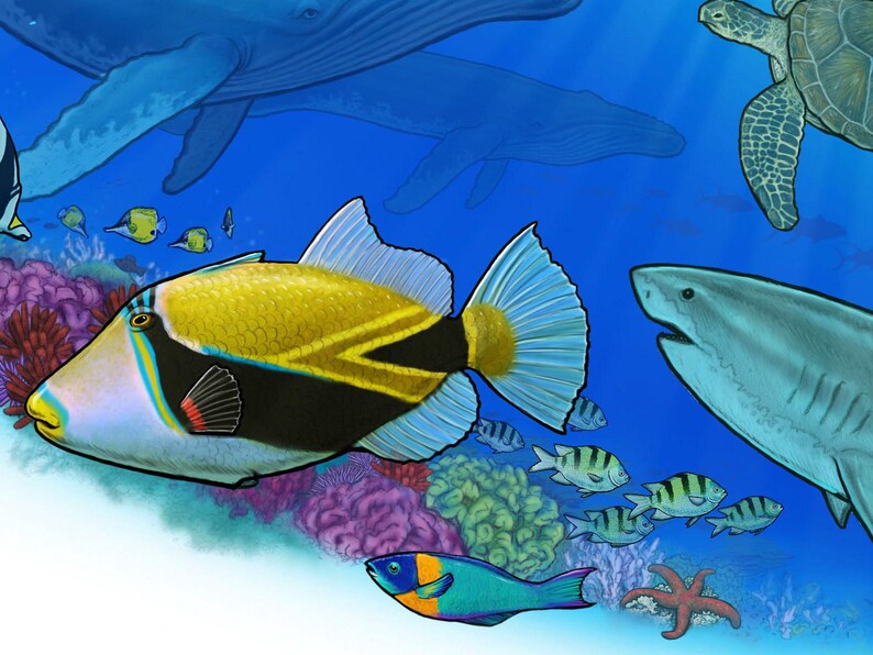 Hawaii Nature Illustration Map - Etsy