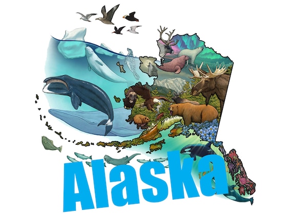 Alaska Nature Illustration Map | Etsy