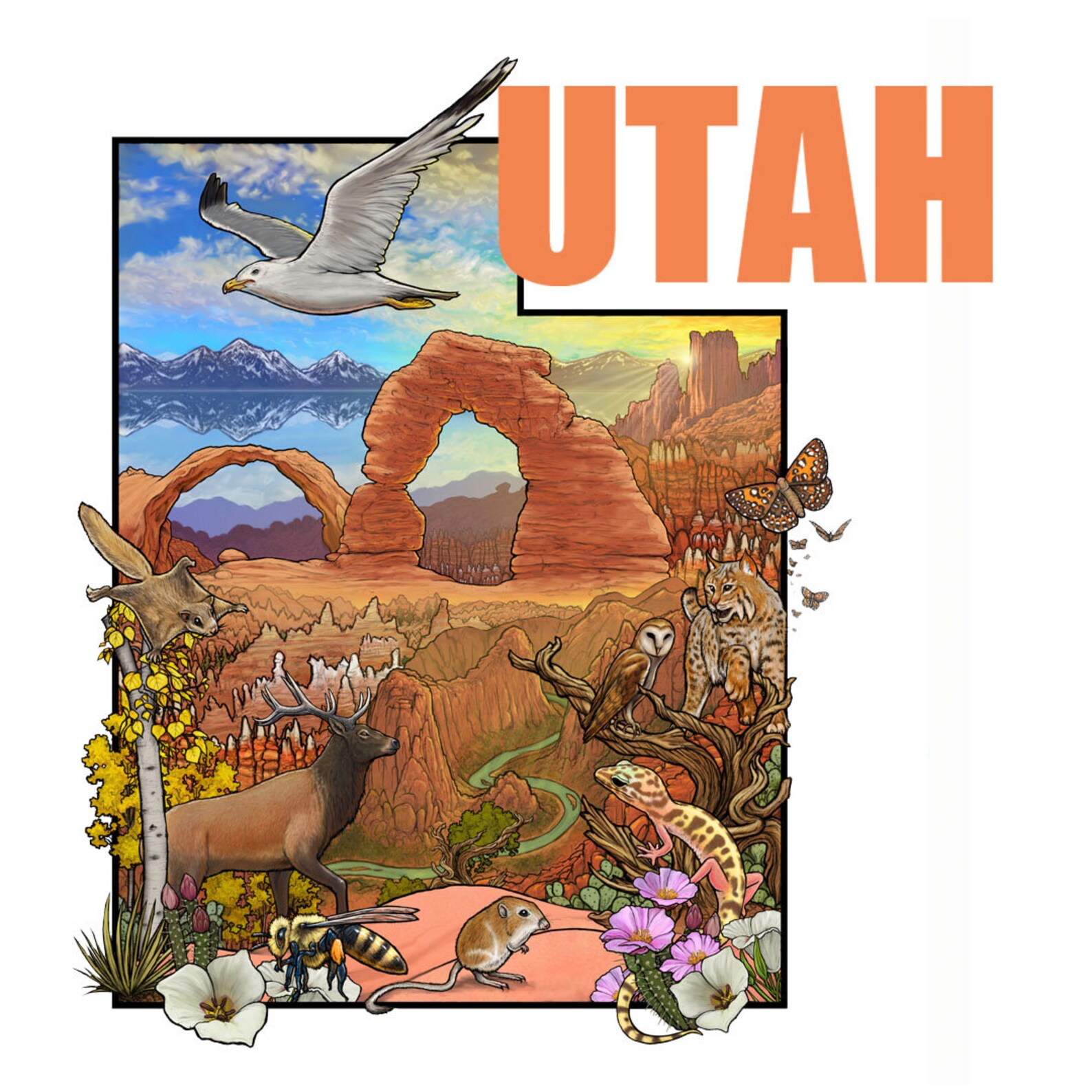 Utah Illustrated Nature Map - Etsy