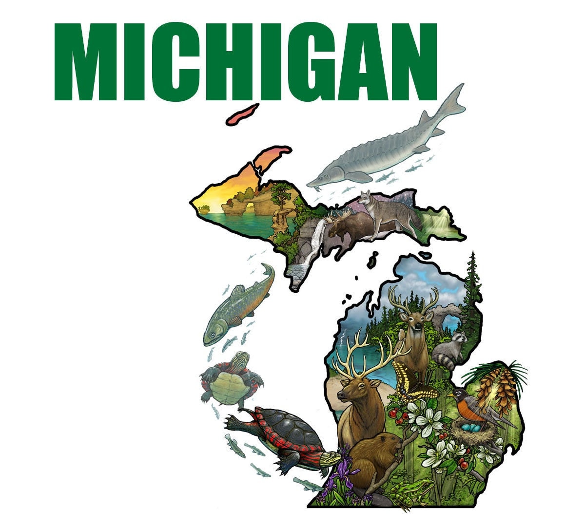 Michigan Illustrated Nature Map - Etsy