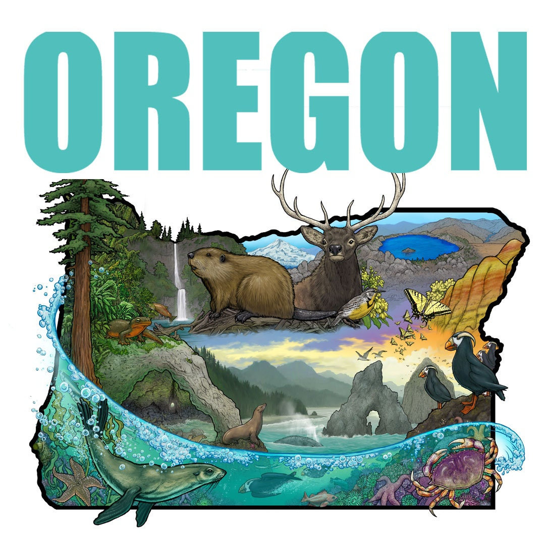 Oregon Illustrated Nature Map - Etsy