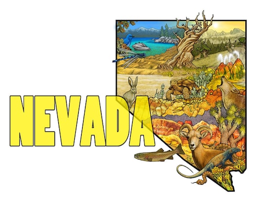 Nevada Nature Illustration Map - Etsy