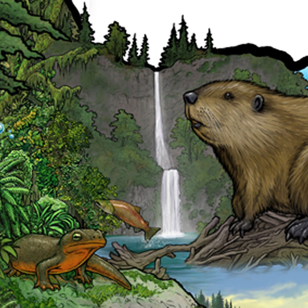 Oregon Illustrated Nature Map - Etsy