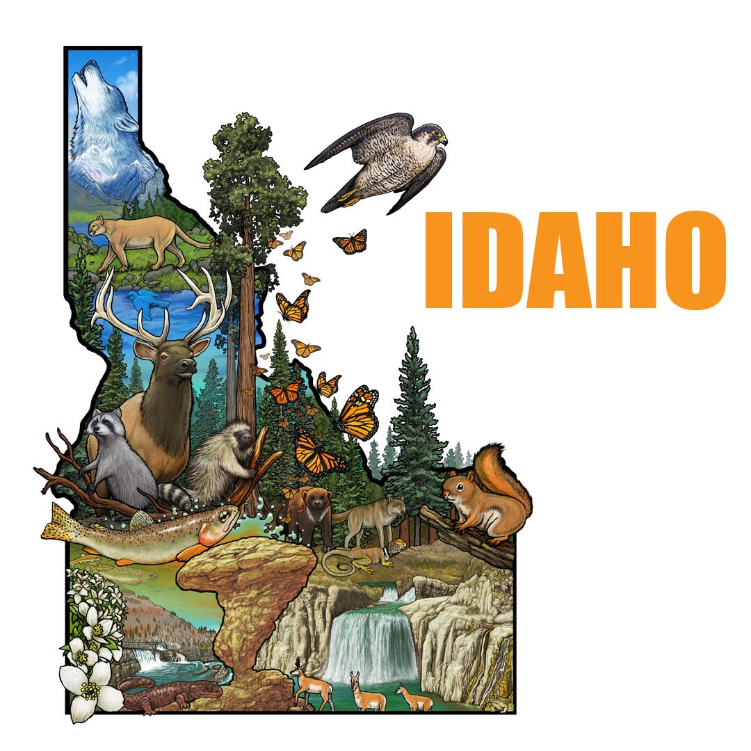 Idaho Illustrated Nature Map - Etsy