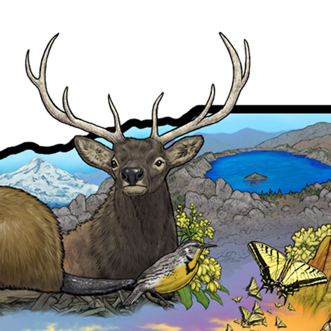 Oregon Illustrated Nature Map - Etsy