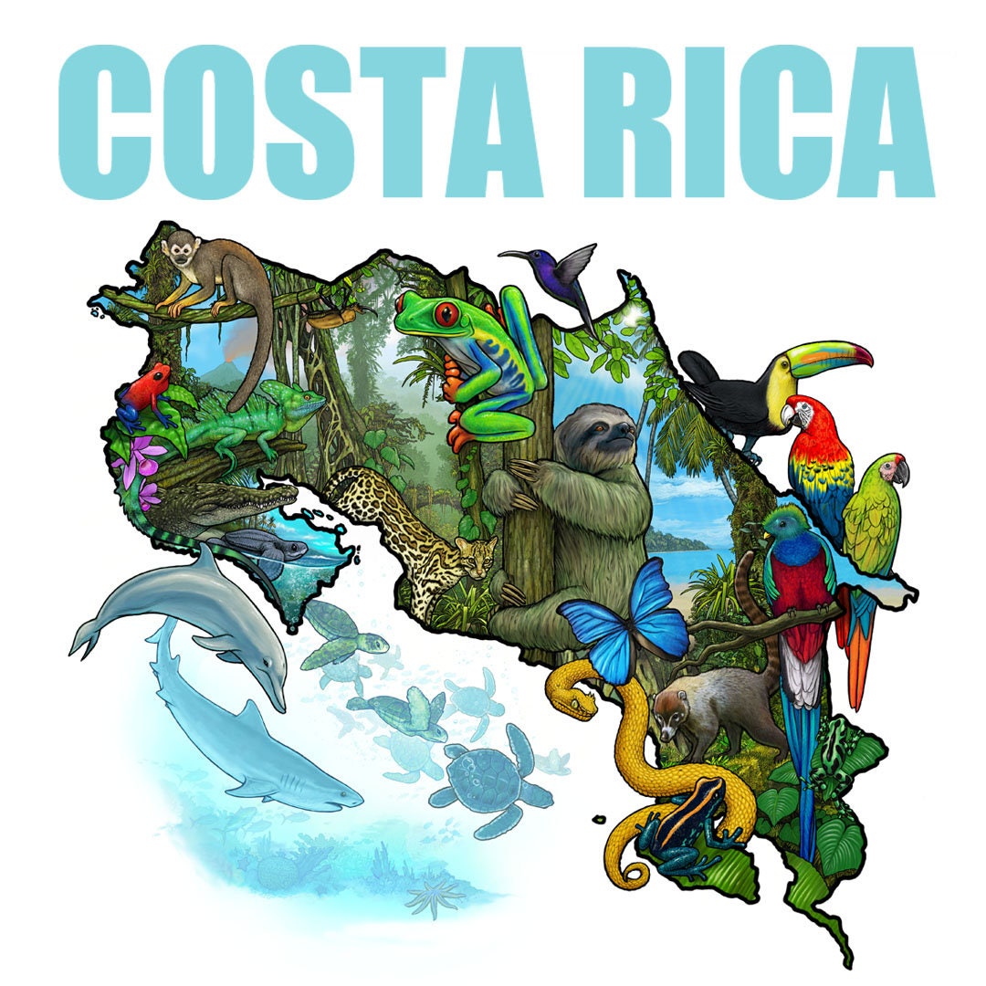 Costa Rica Illustrated Nature Map - Etsy