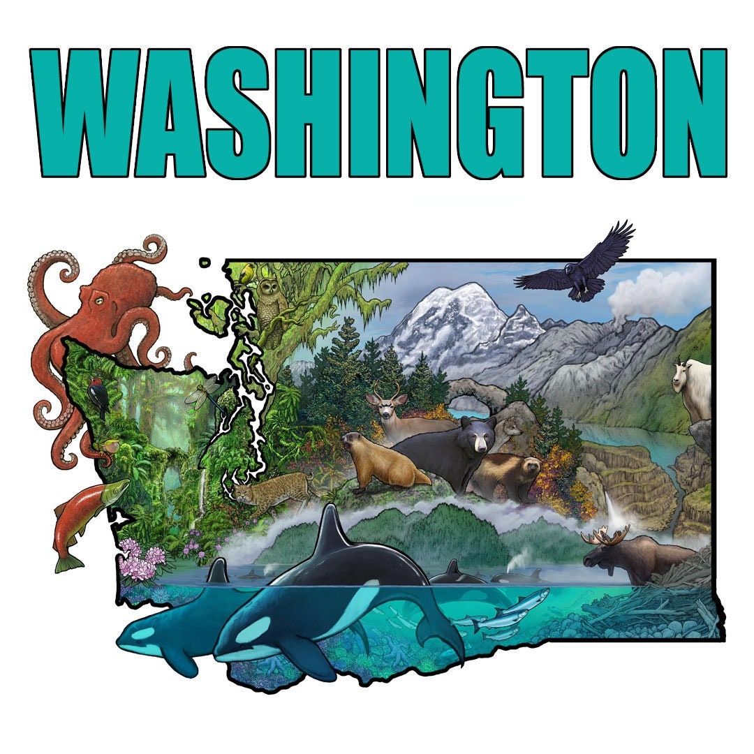 Washington Nature Illustrated Map - Etsy