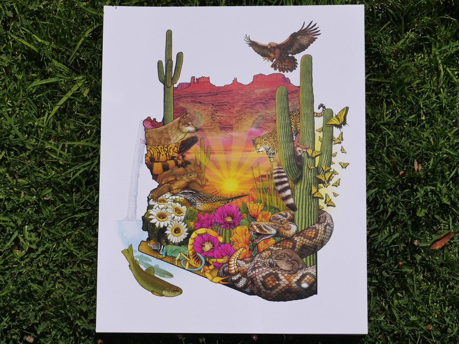 Arizona Nature Illustration Map - Etsy