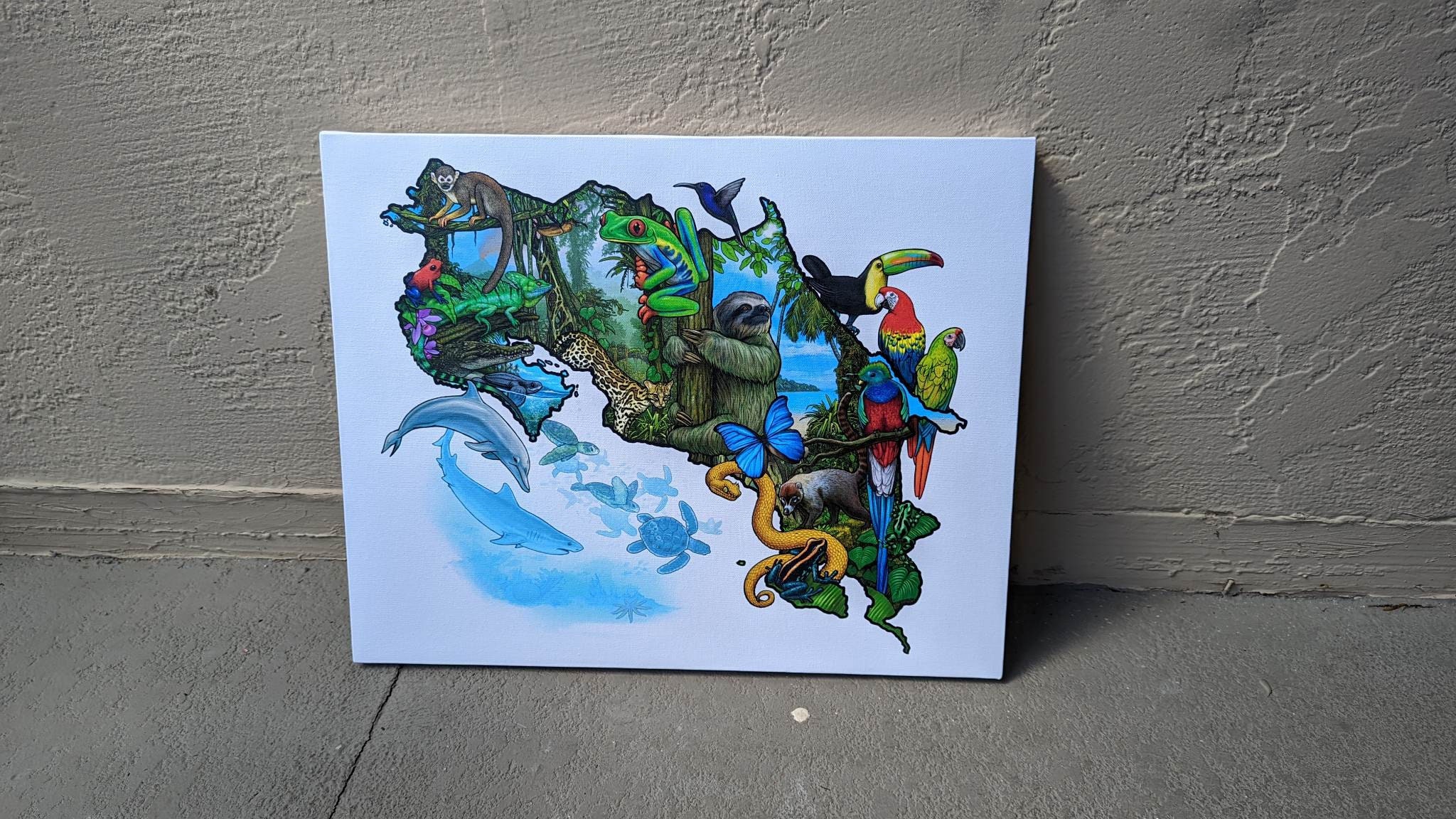 Costa Rica Illustrated Nature Map - Etsy