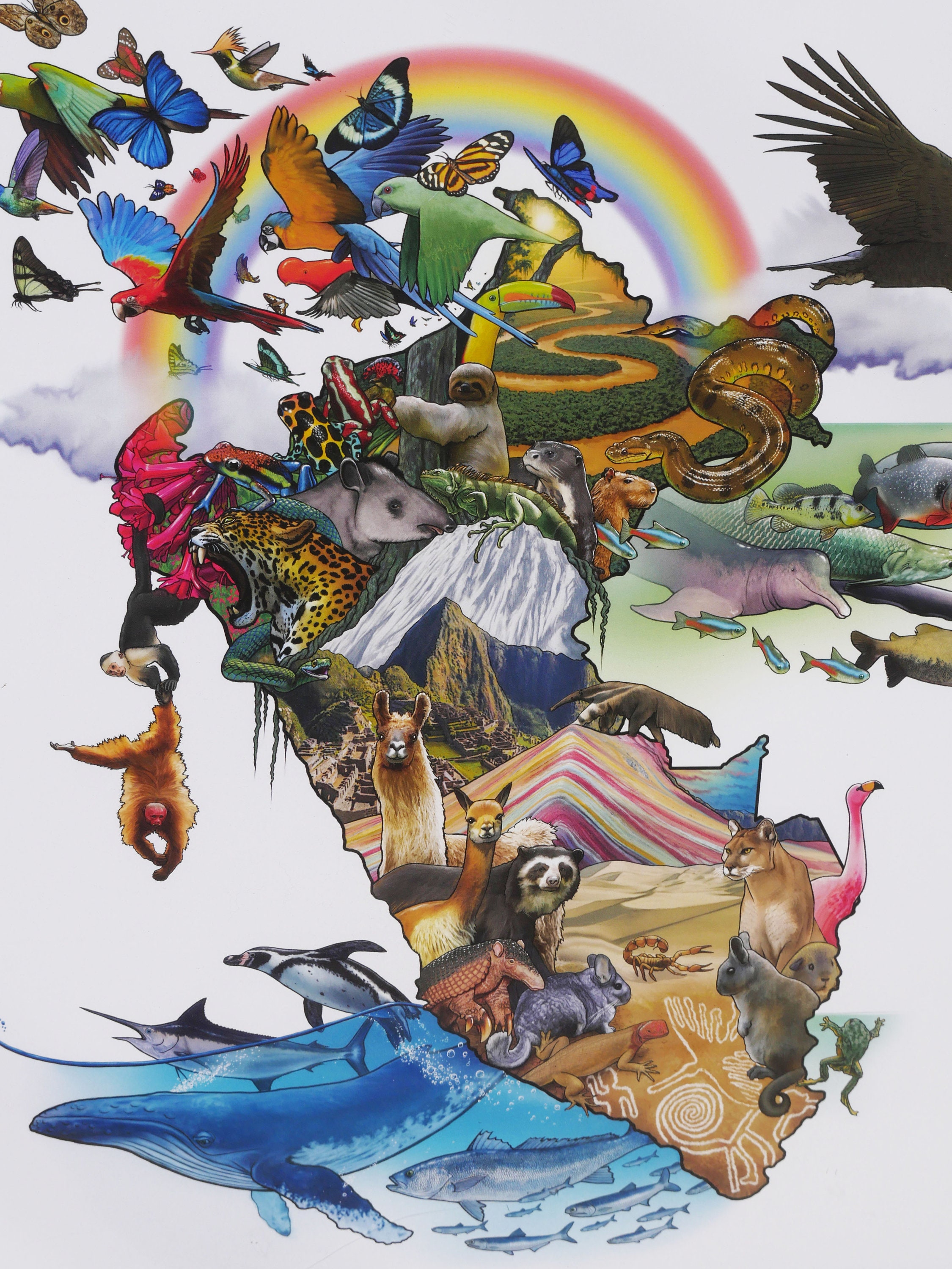 Peru Nature Illustration Map - Etsy