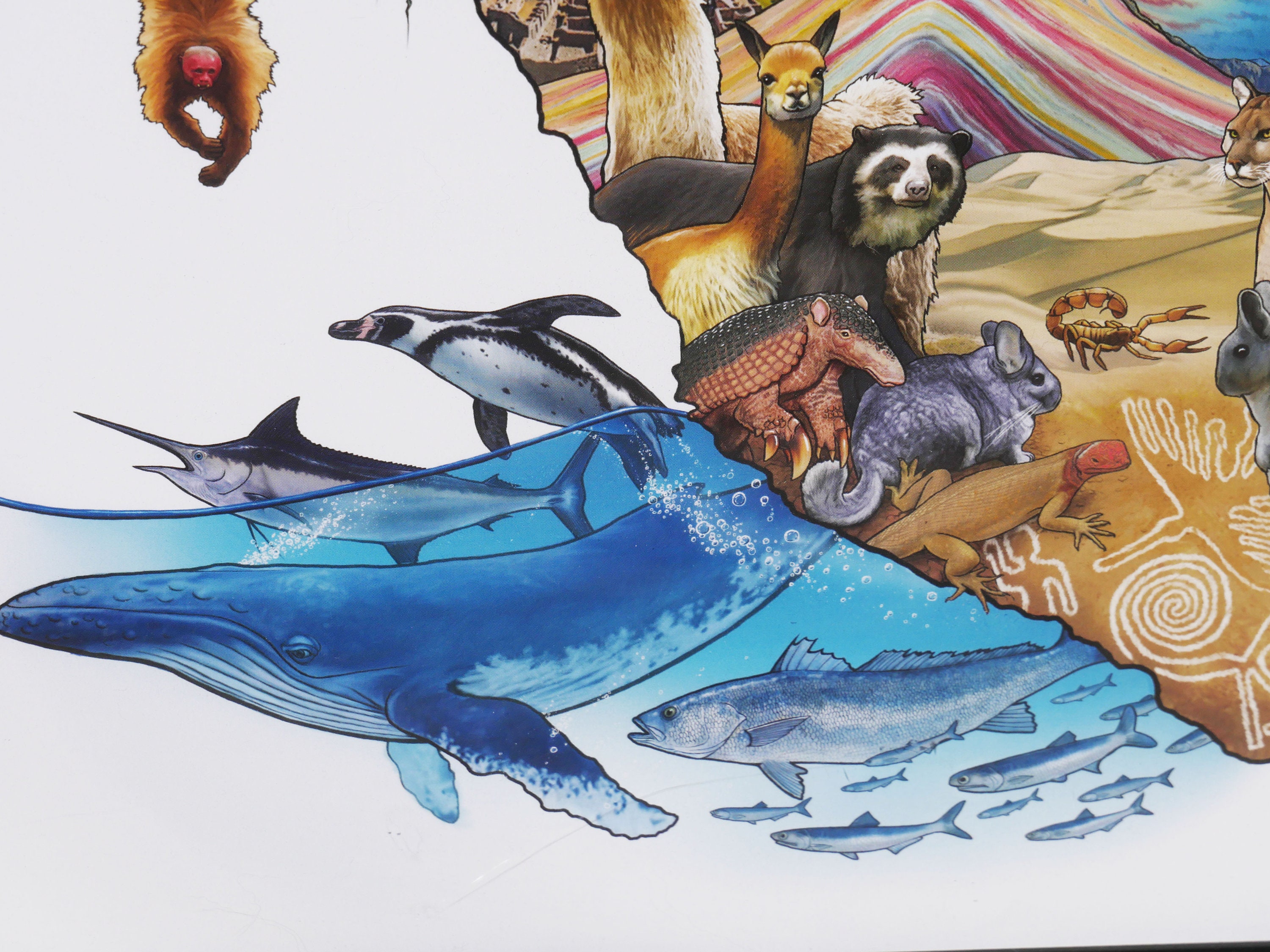 Peru Nature Illustration Map - Etsy