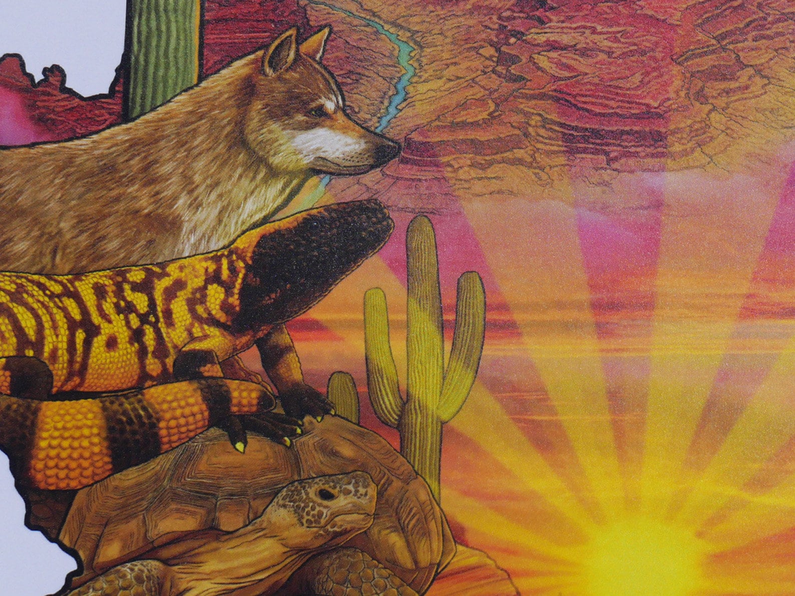 Arizona Nature Illustration Map - Etsy