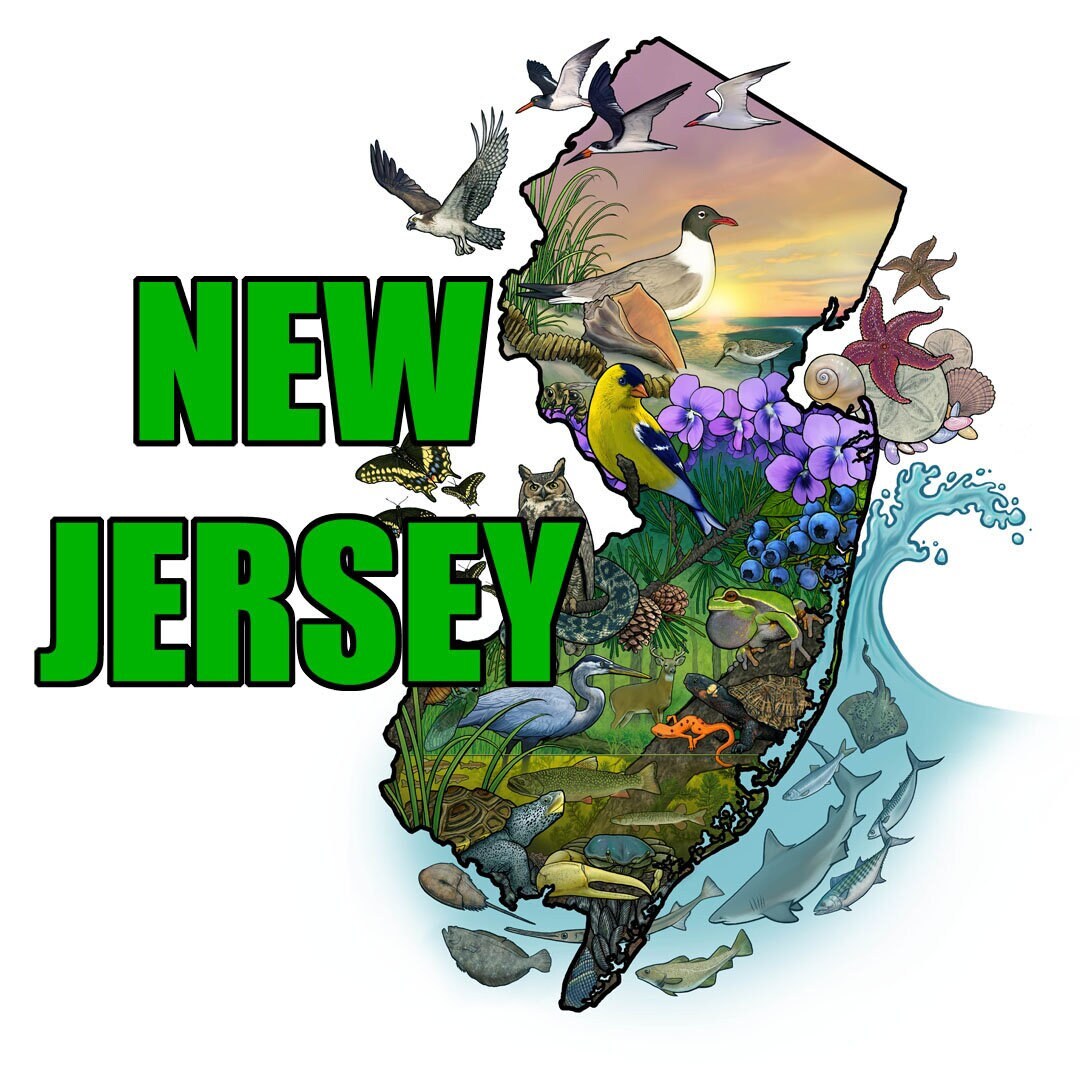 New Jersey Nature Illustrated Map - Etsy