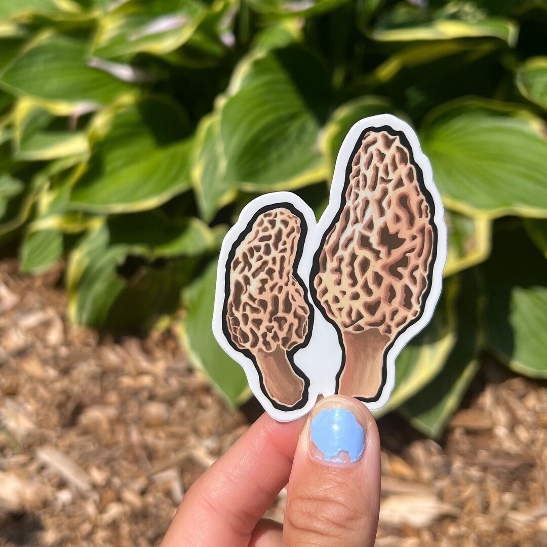 Morel Mushroom Sticker - Etsy