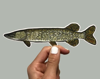Northern Pike Decal Northern Pike Sticker Northern Pike - Etsy