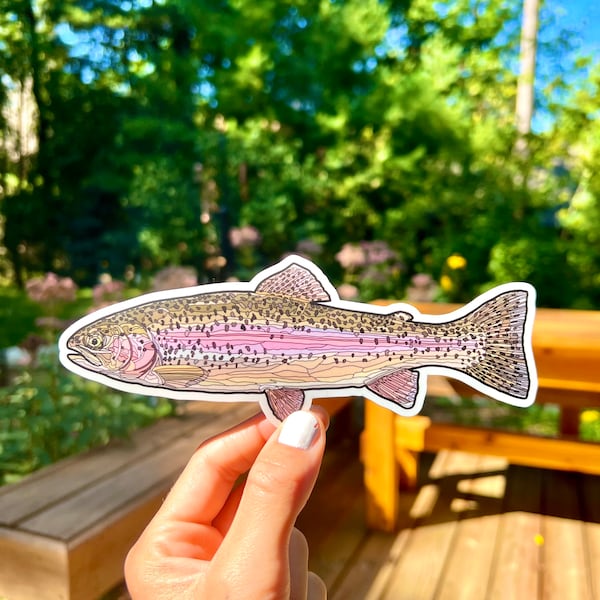 Rainbow Trout Stickers - Etsy