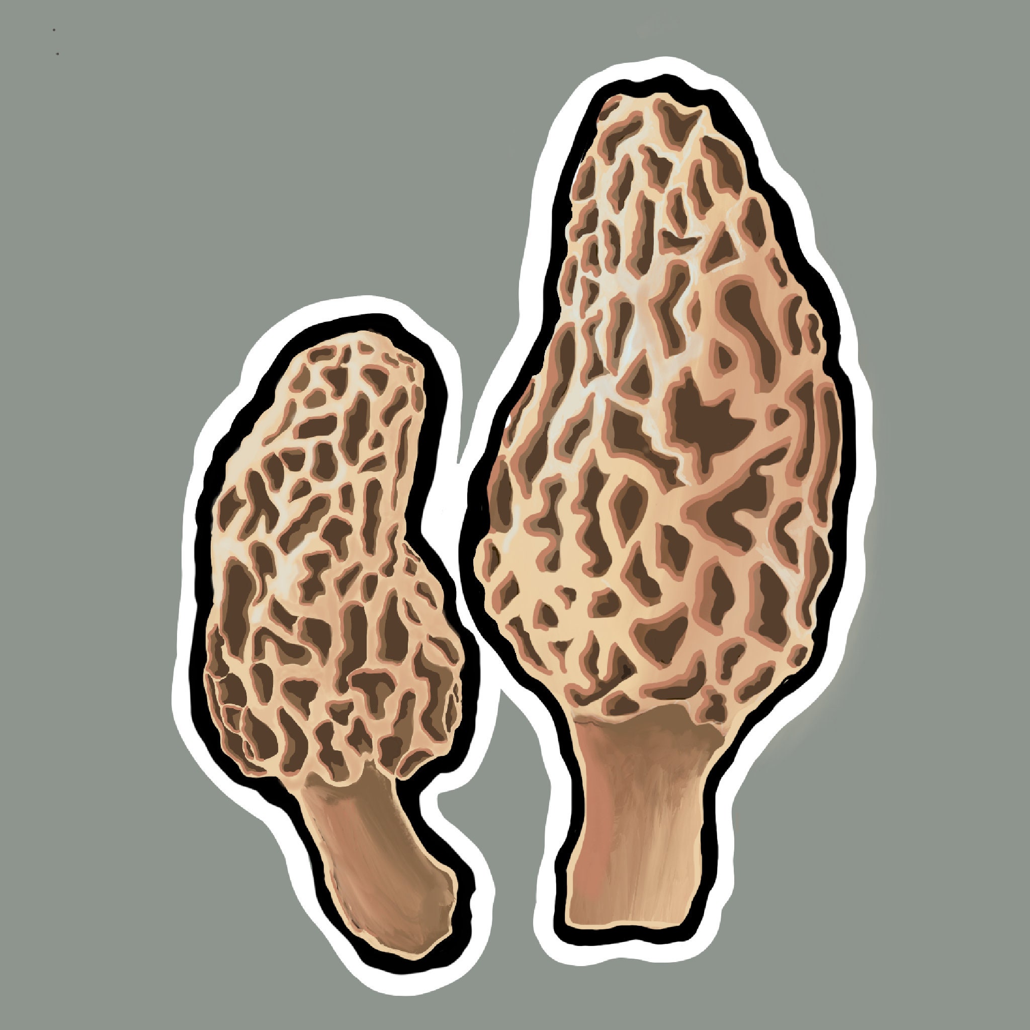 Morel Mushroom Sticker - Etsy