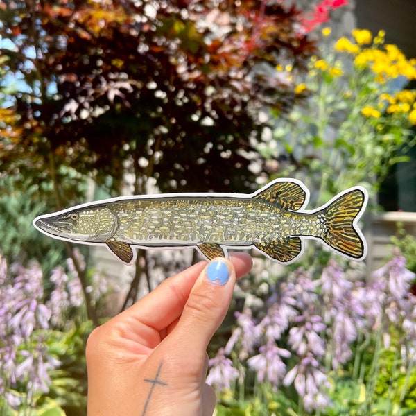 Northern Pike - Etsy