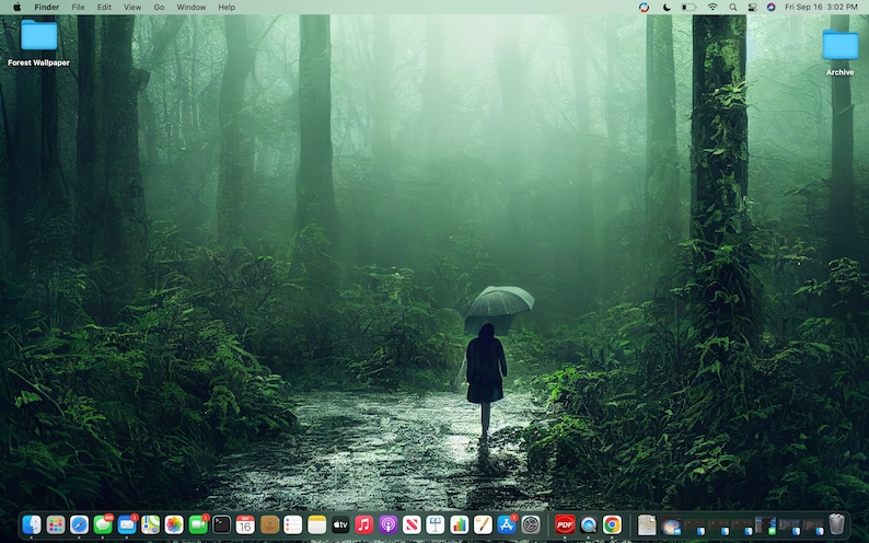 HD Forest Variety Pack Laptop Wallpapers (x4) - Instant Download ...