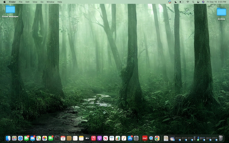 HD Forest Variety Pack Laptop Wallpapers (x4) - Instant Download ...