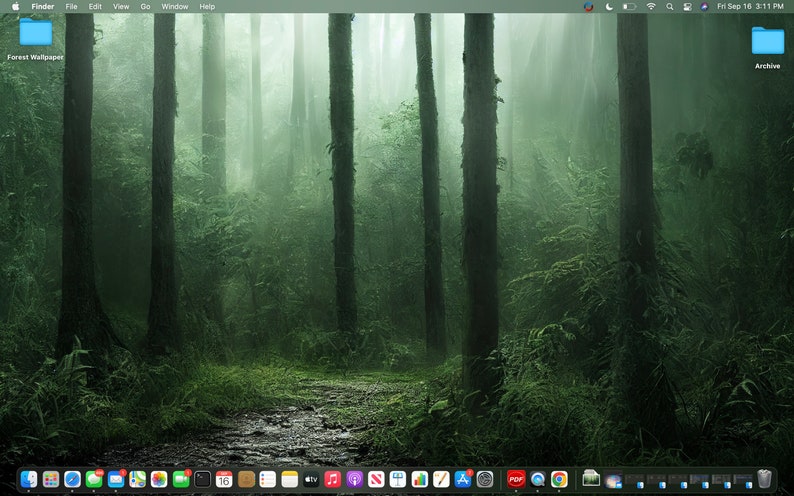 HD Forest Variety Pack Laptop Wallpapers (x4) - Instant Download ...