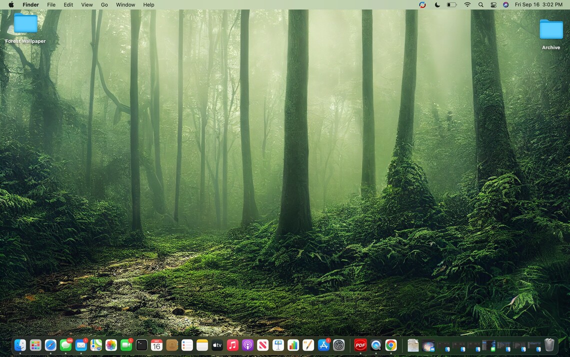 HD Forest Variety Pack Laptop Wallpapers (x4) - Instant Download ...