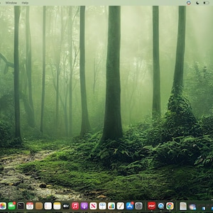 HD Forest Variety Pack Laptop Wallpapers (x4) - Instant Download ...