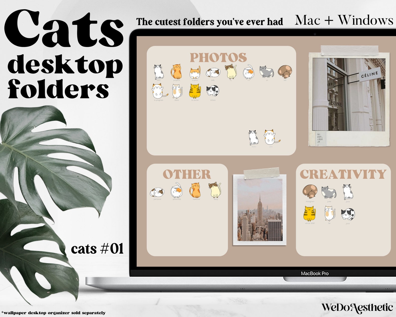 CATS #01 Desktop Folder Icons, Mac + Windows Folder Icons, Mac Natural ...