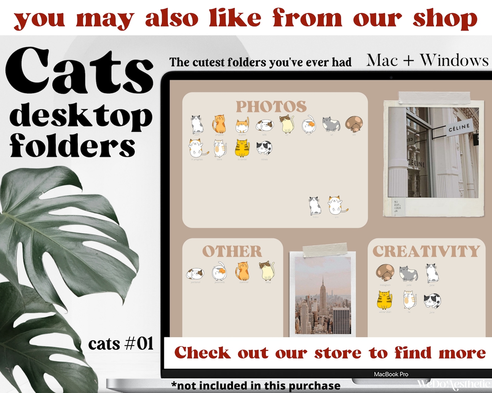 CATS 02 Desktop Folder Icons, Mac Windows Folder Icons, Mac Natural ...
