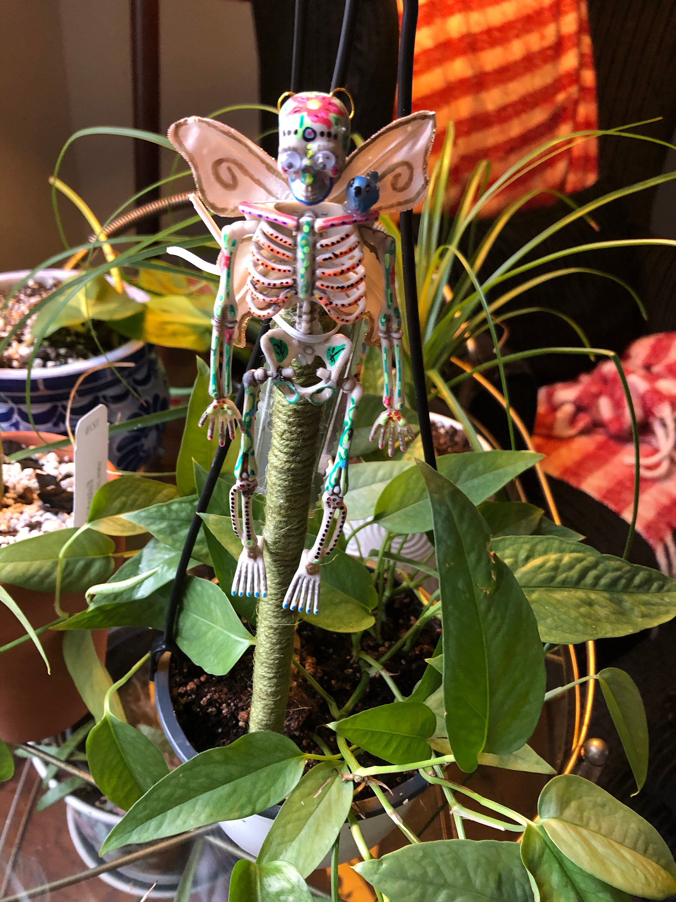 The Original Skeleton Mini 'moss Pole' Plant Tag - Etsy