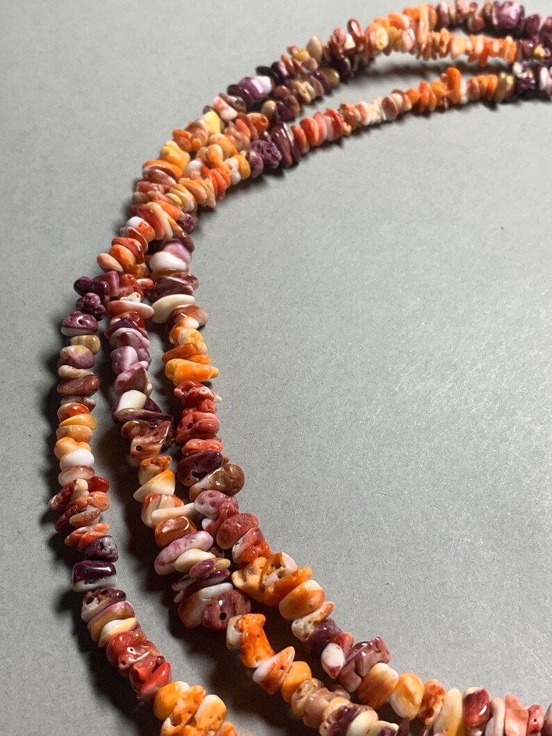 Vintage Coral Reef Multi-colored Seashells Stainless Steel - Etsy