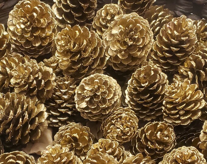 Gold Metallic Pine Cones. 12 Handpainted Pine Cones. Wedding, Home ...