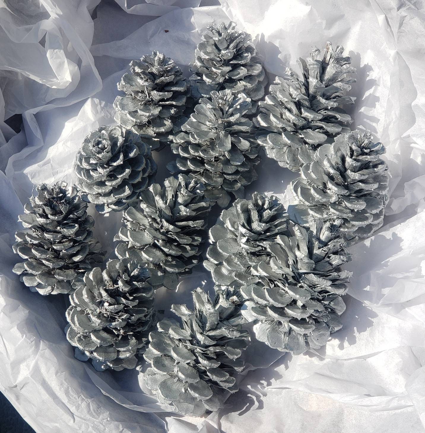 Silver Metallic Pine Cones. 12 Handpainted Pine Cones. Wedding - Etsy