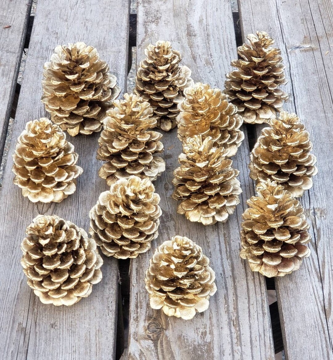 Gold Metallic Pine Cones. 12 Handpainted Pine Cones. Wedding Decor ...