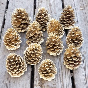Gold Metallic Pine Cones. 12 Handpainted Pine Cones. Wedding, Home ...