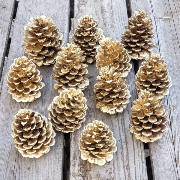 Painted Pine Cones - Etsy