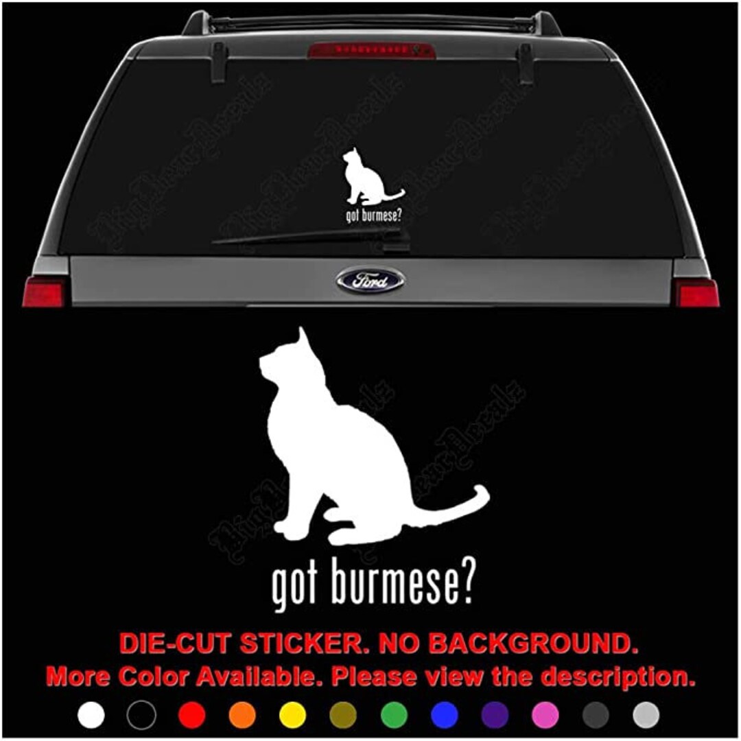Got Burmese Cat Pet Die Cut Vinyl Decal Sticker for Car Truck ...