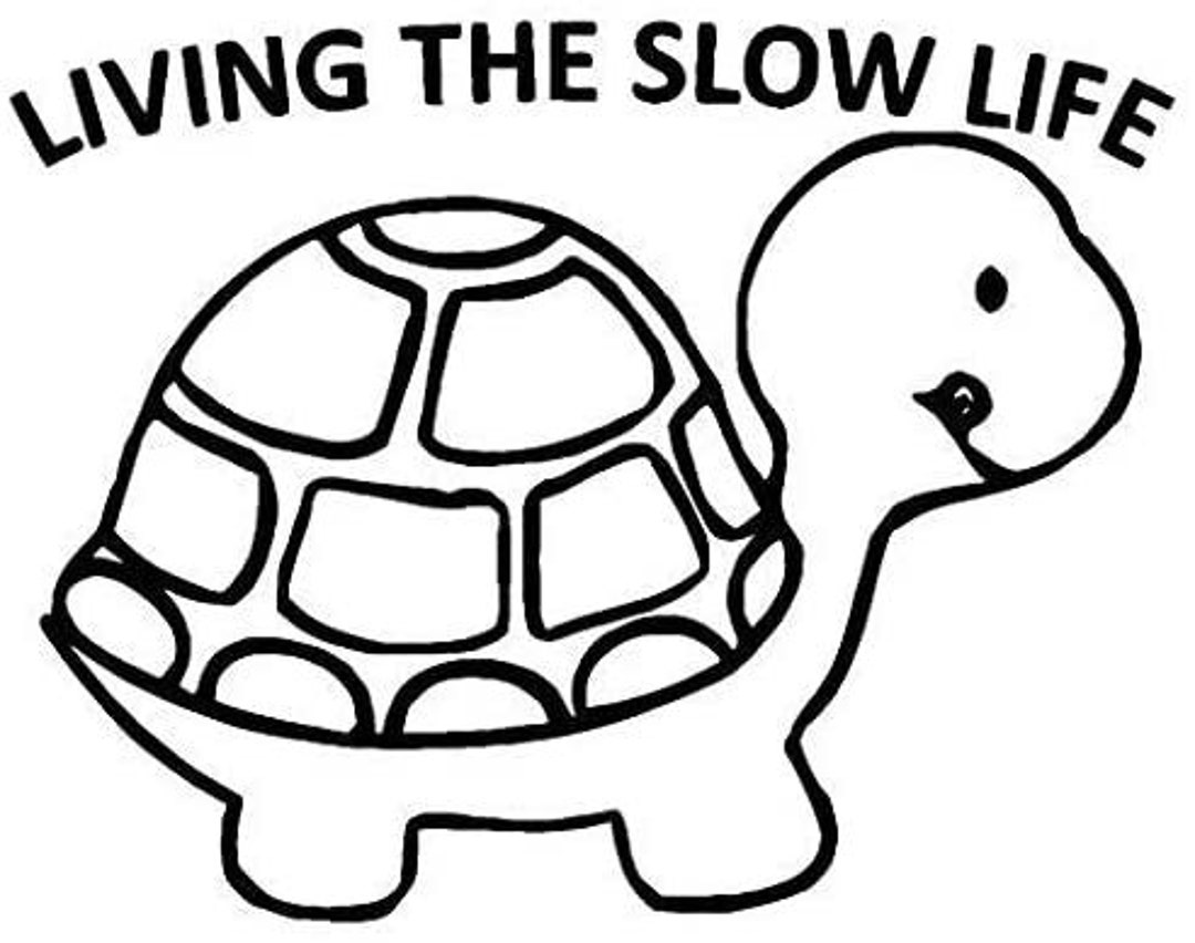 Living the Slow Life Turtle Decal Sticker - Sticker Graphic - Auto ...