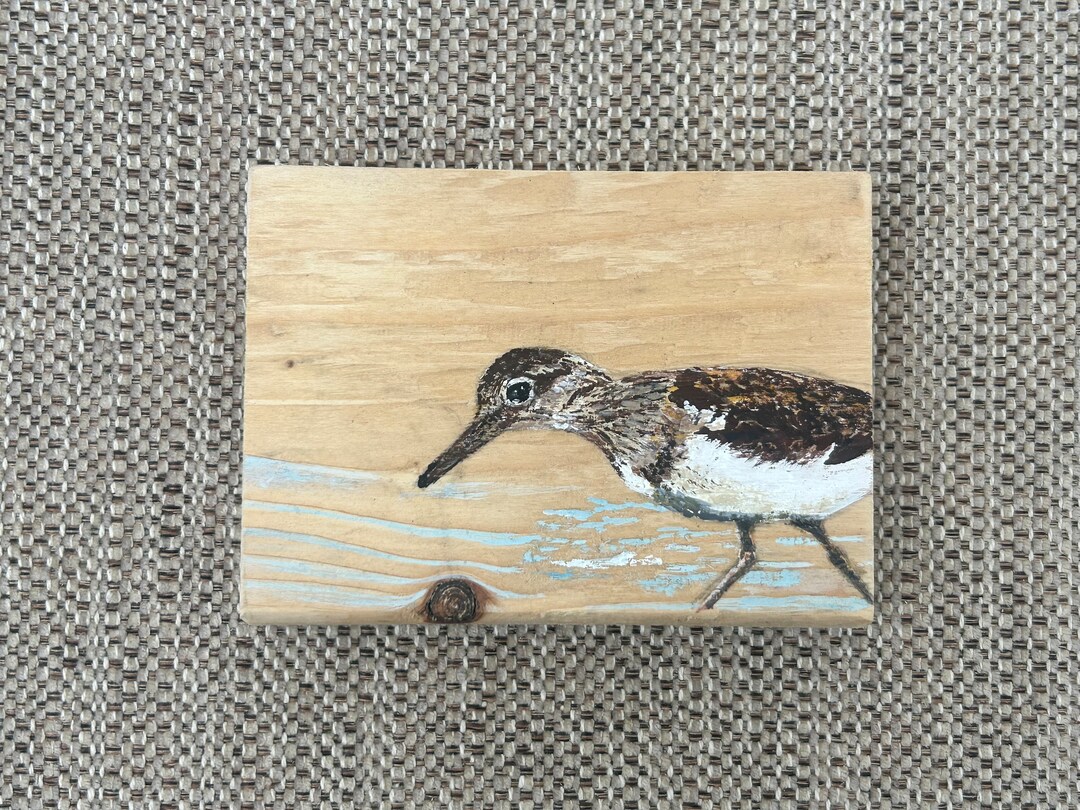 Sandpiper Hand-painted Original Wall Art Bird Painting Artwork on ...