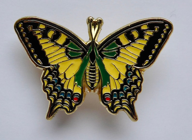 Pin Butterfly (swallowtail) - Etsy