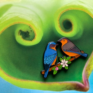 Pin Eastern Bluebird Couple - Etsy