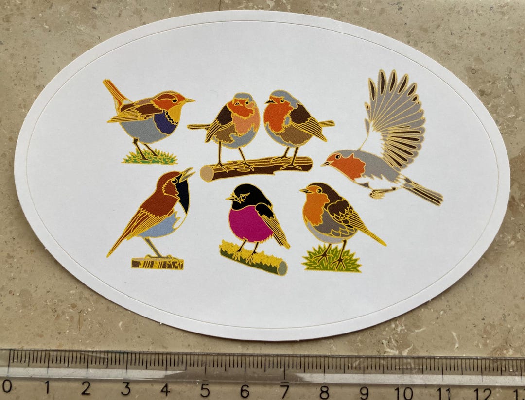Big Robin Sticker! Big Robin Sticker! - Etsy