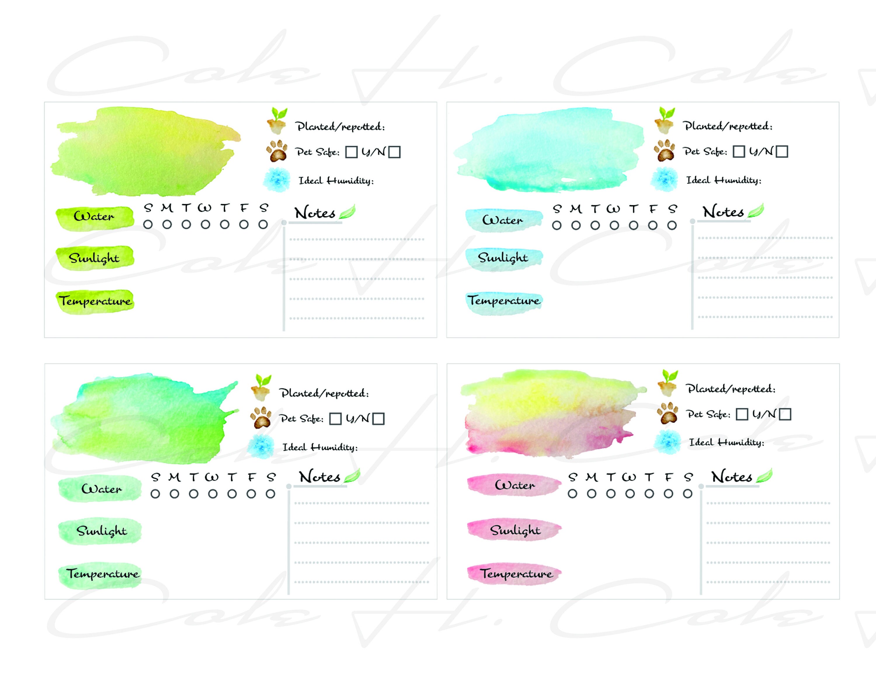 Plant Care Notecards Printable PDF File Download, Care Instruction ...