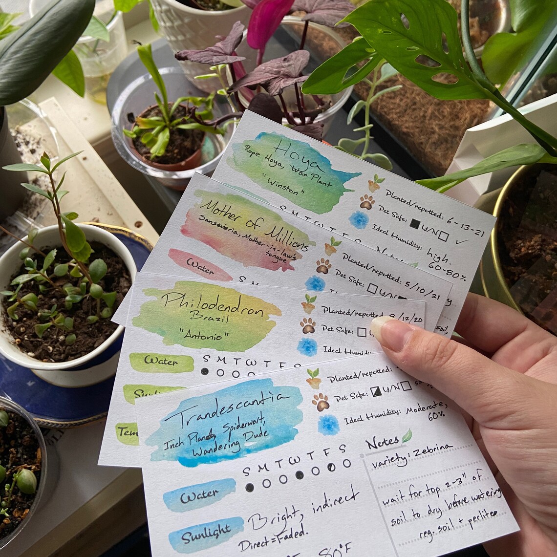 Plant Care Notecards Printable PDF File Download, Care Instruction ...