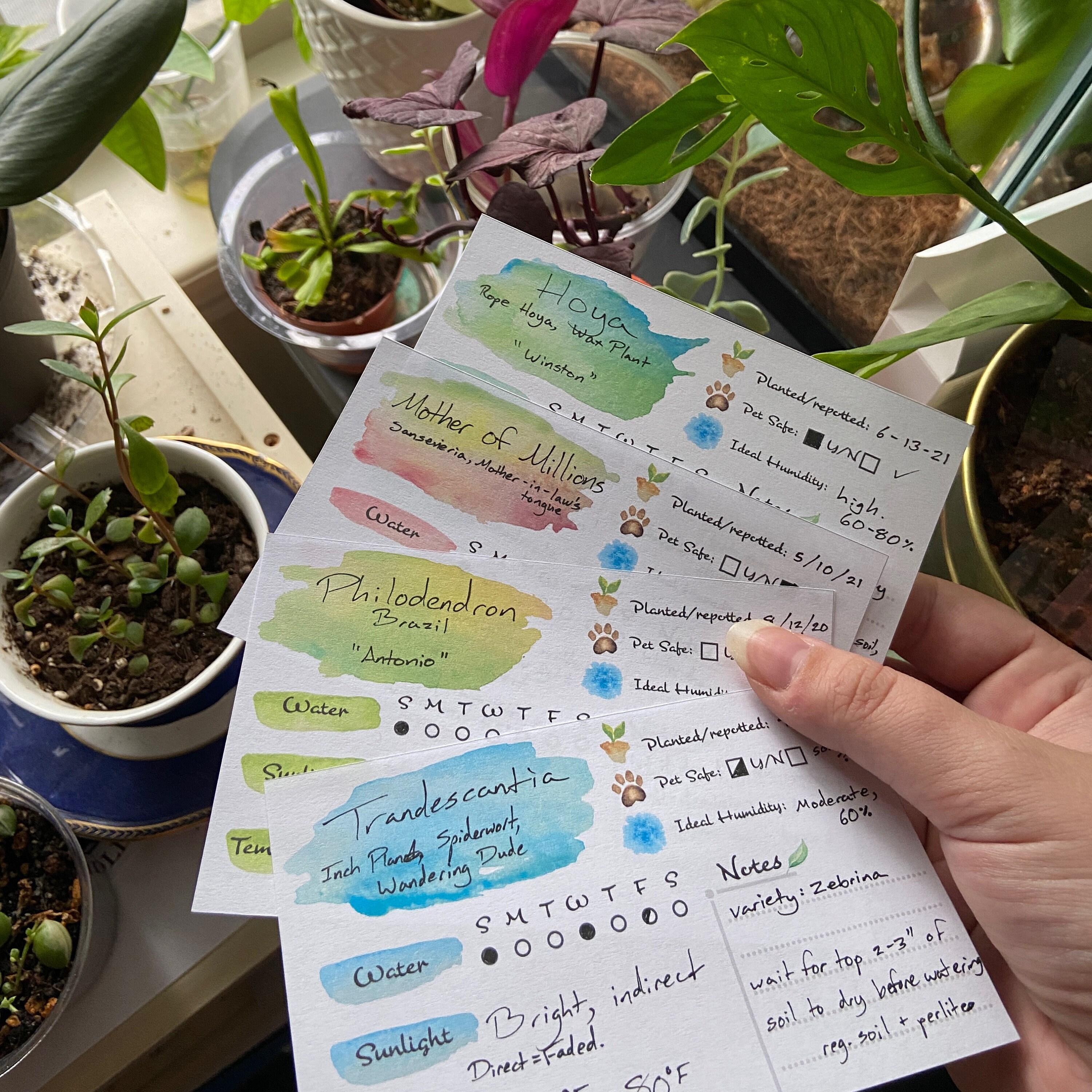 Plant Care Notecards Printable PDF File Download, Care Instruction ...