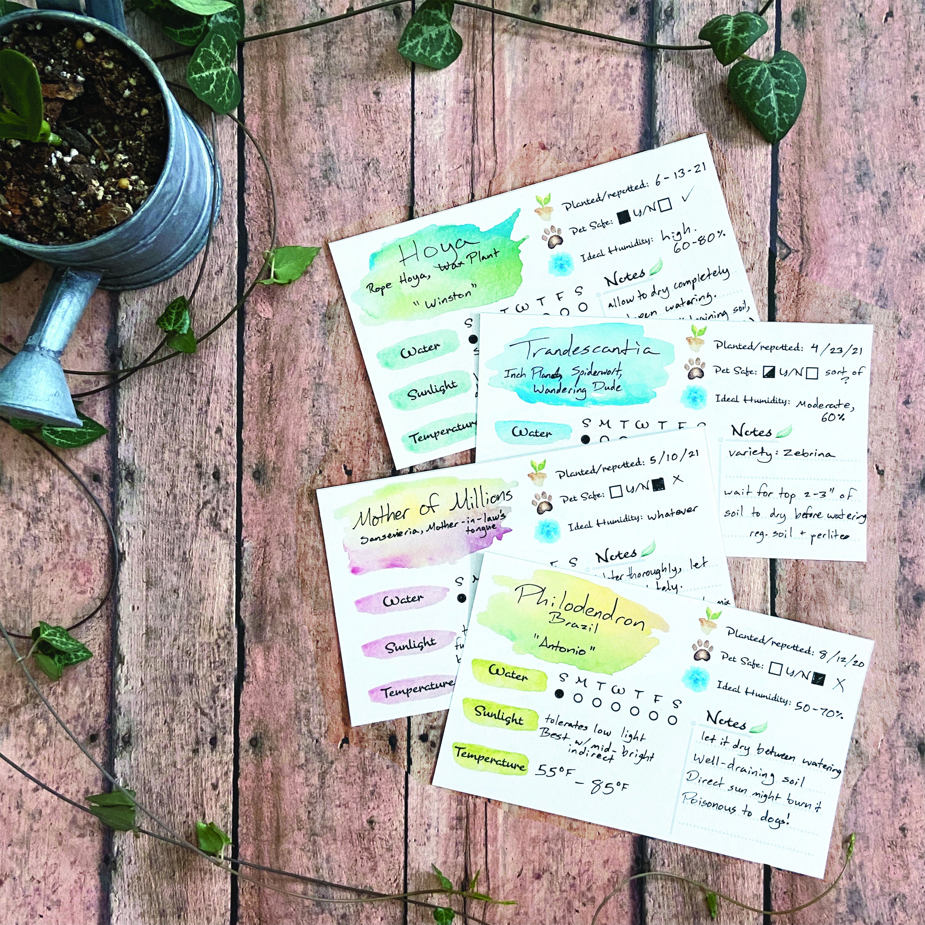 Plant Care Notecards Printable PDF File Download, Care Instruction ...