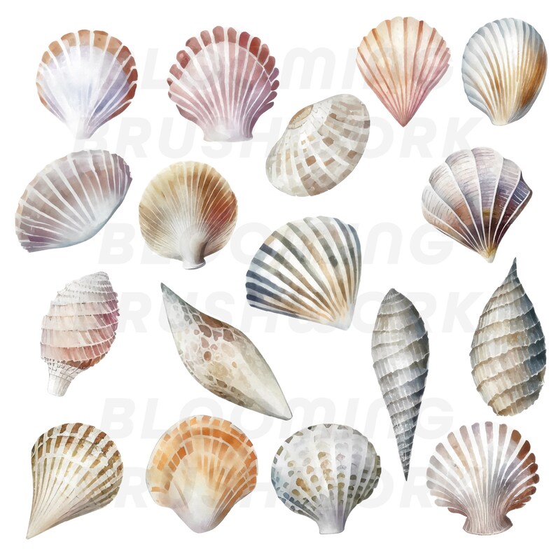 Light Watercolor Seashells Clipart, Ocean Beach Clip Art, Sea Shells ...