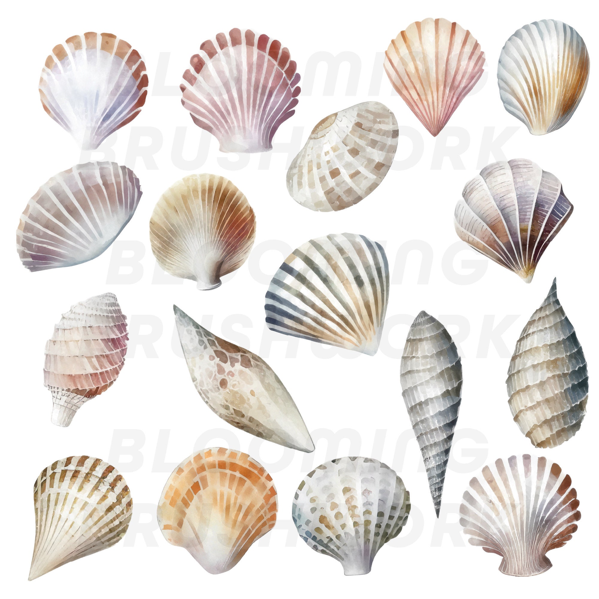 Light Watercolor Seashells Clipart, Ocean Beach Clip Art, Sea Shells ...